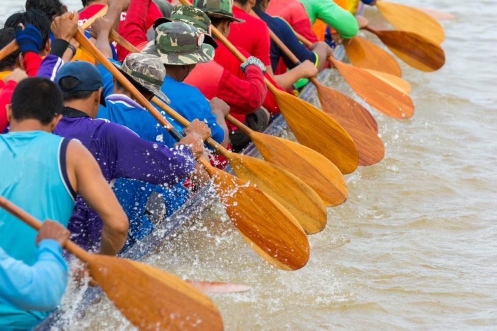 Optimizing the Team Ecosystem ~ A Foundation for Success - HR Catalyst